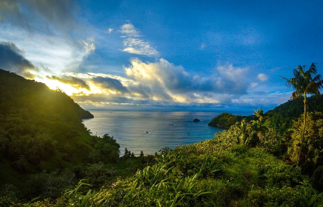Faico - Amigos de la Isla del Coco, inspirando la conservación marina