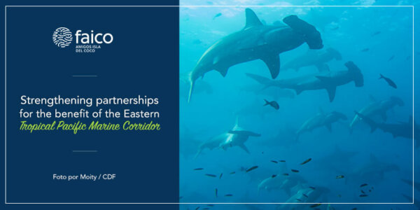 Strengthening partnerships for the benefit of the Eastern Tropical ...